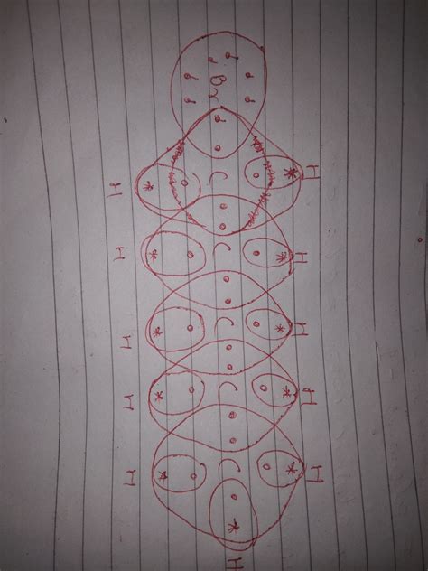 What Is Electron Dot Structure Of Bromopentane