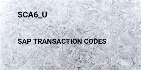 Sca6 U Tcode In Sap Transaction Codes List