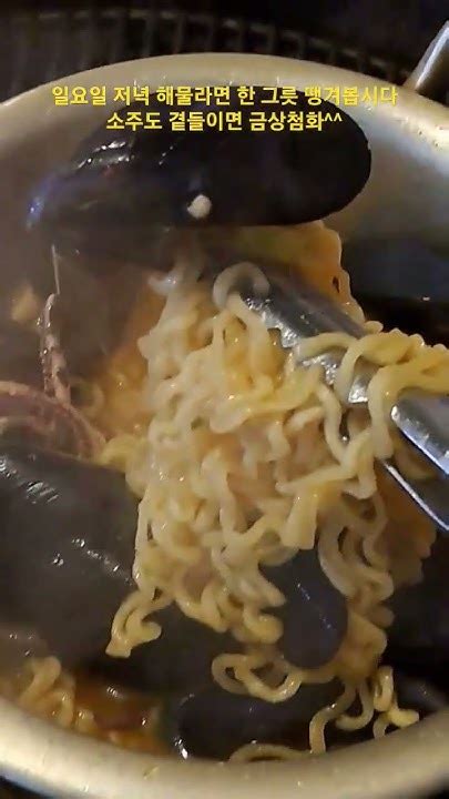 일요일 저녁 해물라면 한 그릇 땡겨봅시다 소주도 곁들이면 금상첨화 Shorts Youtube