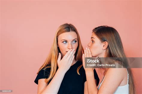 분홍색 배경에 대한 비밀을 말하는 두 명의 쾌활한 캐주얼 옷을 입은 소녀의 초상화 험담에 대한 스톡 사진 및 기타 이미지 험담 소녀 여자 Istock