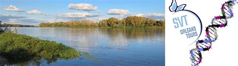 Quiz Interactifs Logiciels Portail Pédagogique Académique Délégation De Région Académique