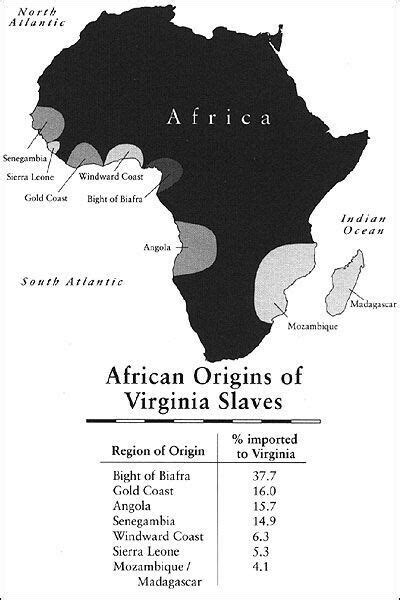 African Origin Of Virginia Slaves Slave Trade Geography Slave States