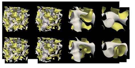 Evolution Of The Spinodal Decomposition And Coarsening In A Ternary