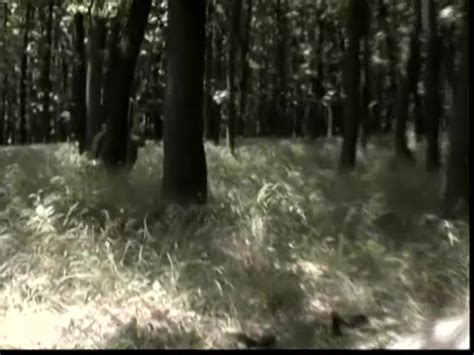 Stoss Mich In Meine Behaarte Dicke Mose Streaming Video On Demand Adult Empire