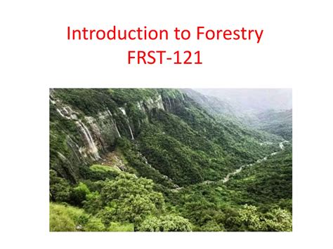 Introduction To Forestry PPTX