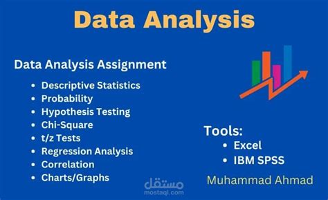 Do Statistical Assignments Survey Analysis Amd Data Analysis مستقل