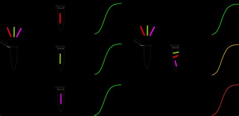 A Current Implementation Of The Stem Loop Rt Qpcr Workflow First Download Scientific Diagram