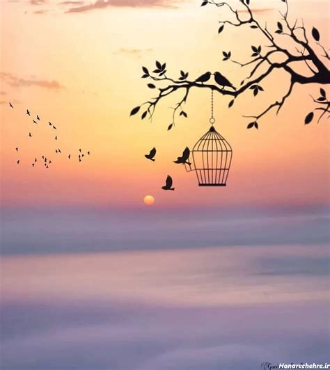 18 عکس از پروفایل خاص جدید که همه را مجذوب میکند