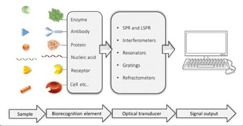 Schematic Diagram Of An Optical Biosensor [28] Download Scientific