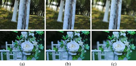 Figure 1 From Variable Aperture Bokeh Rendering Via Customized Focal Plane Guidance Semantic