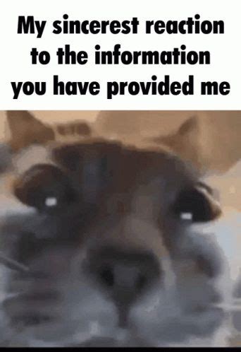 My Honest Reaction Meme  My Honest Reaction  My Sincerest