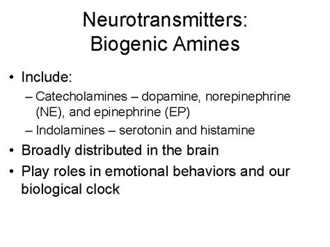 Neurobiochemistry Synapse And Neurotransmitter Mohammad Hanafi Synapses A
