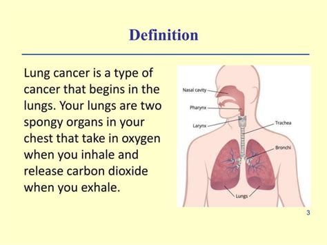 Lung Cancer Definition Causes Symptoms Diagnosis Treatment