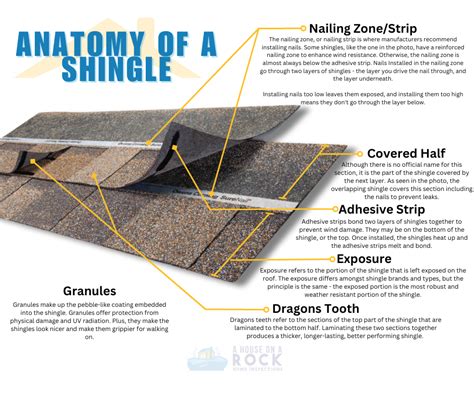 Identifying Asphalt Shingle Roofing Defects Richmond Home Inspector