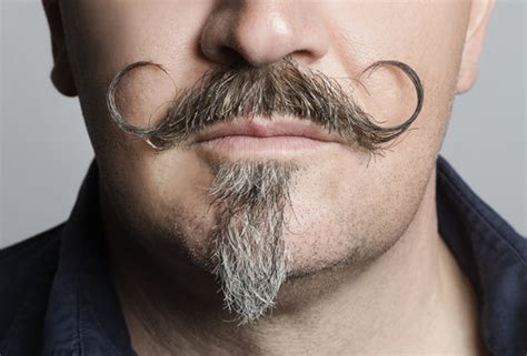 Imágenes De Mostacho Descubre Bancos De Fotos Ilustraciones Vectores