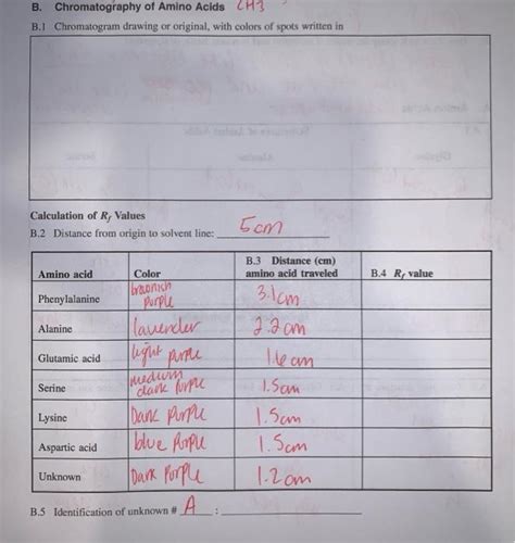 Solved B1 Chromatogram Drawing With Colors Of Spots