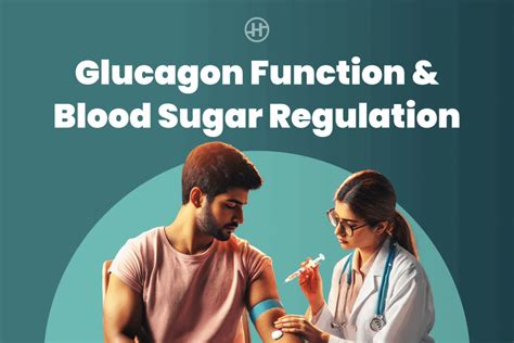 Understanding Glucagon Function In Blood Sugar Regulation