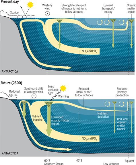 Primary Productivity Ocean