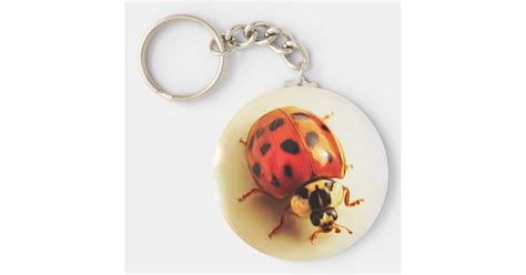 Ladybug Keychain