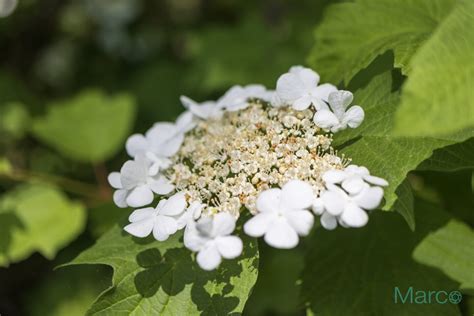 Bugfixing On Ascension Day Marco Van T Klooster