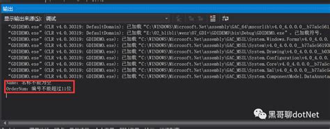 Winform和wpf等客户端使用数据模型验证 董川民