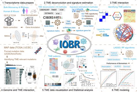 R语言cibersort算法为啥运行不出？ 知乎