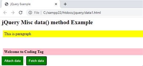 JQuery Misc Data Method CodingTag