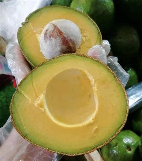 Bơ Boot Nữ Hoàng Trái Cây Của Những Nữ Hoàng Trái Cây