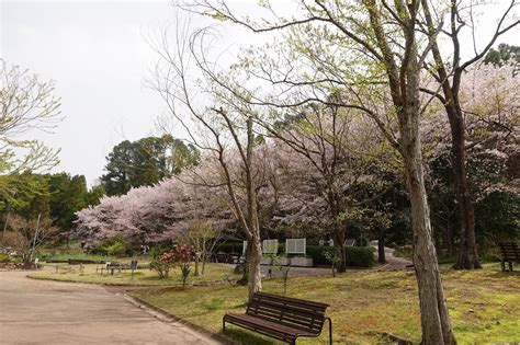 花のボランティア花の文化園にて