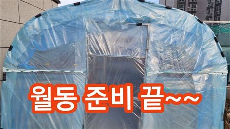 지미네옥상다육 옥상하우스 월동준비 끝~ 이제 걱정이 없습니다 Youtube