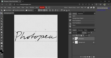 Holes Where SVG Overlaps Issue Photopea Photopea GitHub