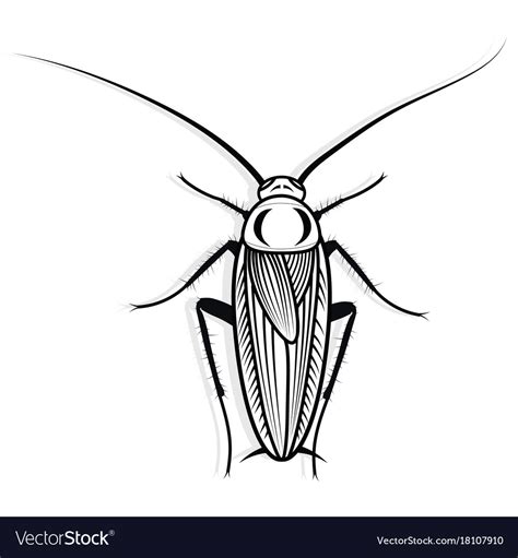Cockroach Design Animal Royalty Free Vector Image