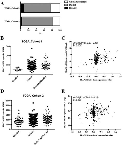 Trap1 Mrna Expression Correlates With Its Gene Copy Number In Tcga Download Scientific Diagram