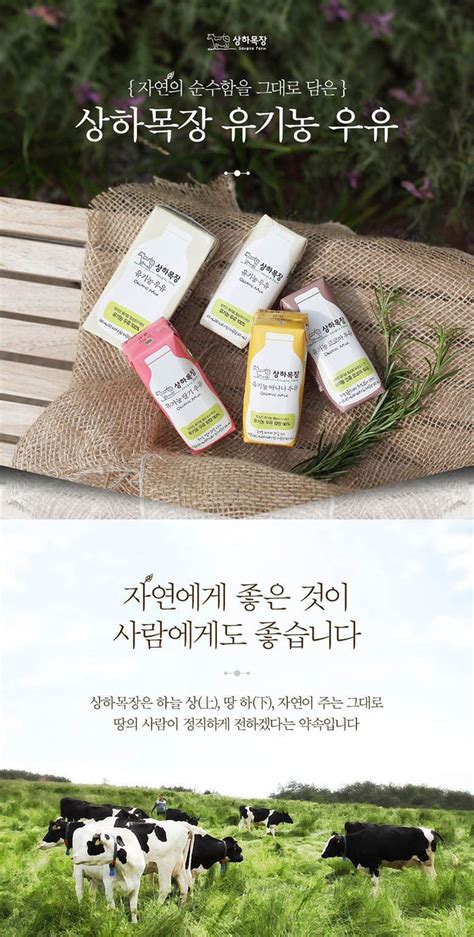 상하목장 유기농 우유 배너 웹디자인 프로모션