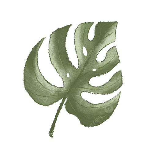雜色葉子 植物 葉子樹葉 葉素材圖案，psd和png圖片免費下載