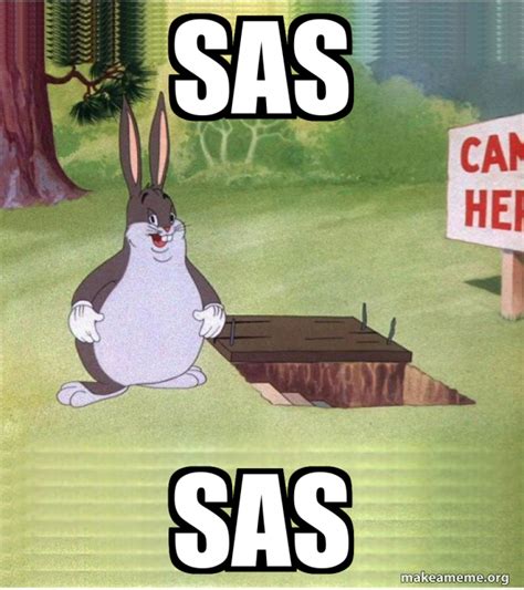 Sas Sas Big Chungus Meme Generator