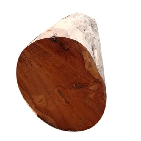 Round Timber Rosewood Log At ₹ 1750sq Ft Timber Logs In Sirsa Id