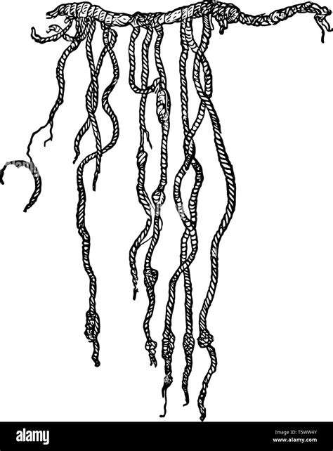 How To Make A Quipu Knot At Roderick Wilkerson Blog
