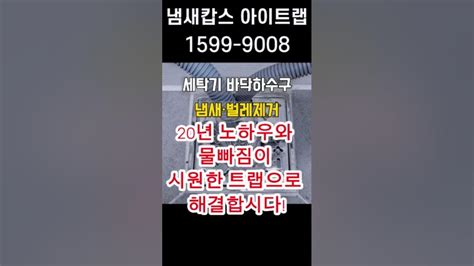 화장실 하수구 트랩 냄새제거 벌레 악취 차단세탁기 바닥 하수구 냄새 벌레제거 아이트랩 설치방법 1599 9008 Youtube