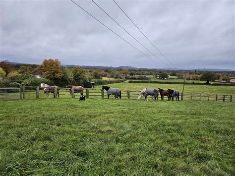 Training Barn So Your Goal This Year Is To Nab A Magazine Commission