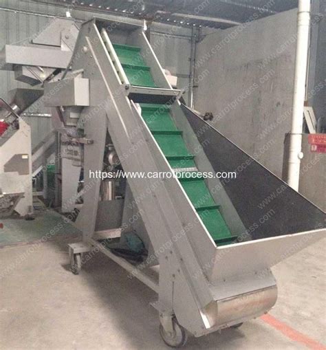 Automatic Carrot Dosing Packing Machine Carrot Processing Machine