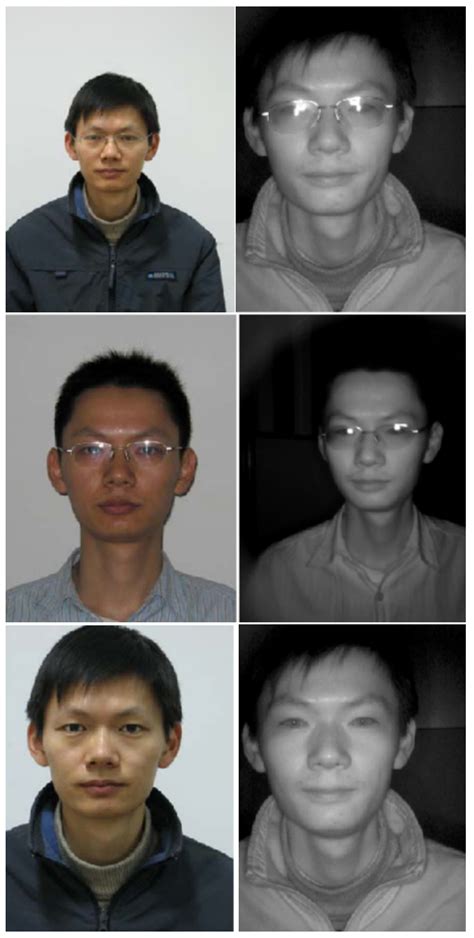 ai free full text recent advances in infrared face analysis and