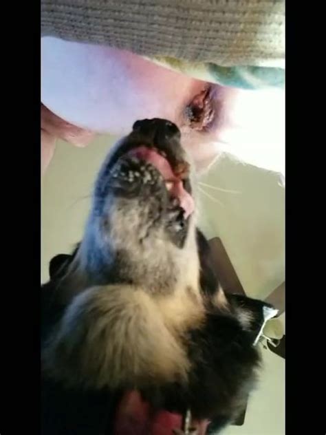 Dog Eats Owners Ass And Makes Him Poop And Eats It Al