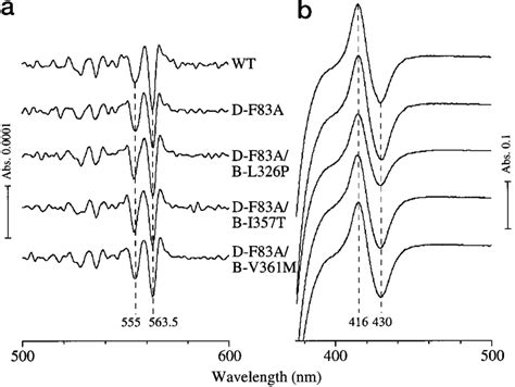 Second Order Finite Difference Spectra Of Dithionitereduced Minus Download Scientific Diagram