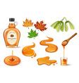 Maple Syrup Pancake Royalty Free Vector Image Vectorstock