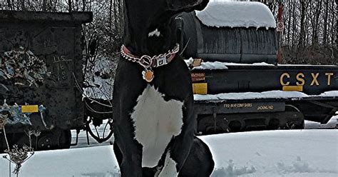 Ive Been Working On The Rail Road Imgur