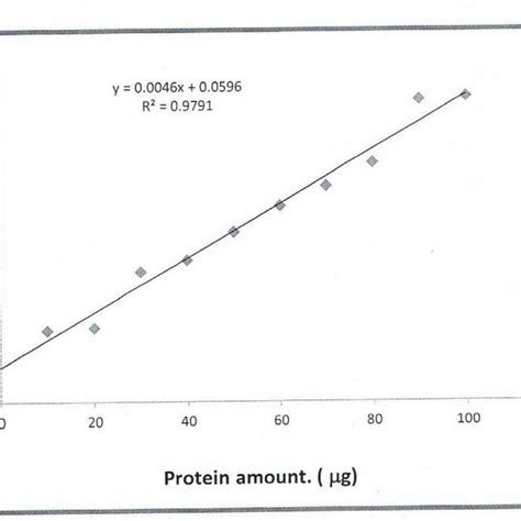 Standard Curve For Protein Concentration Determination Note Y Protein Download Scientific