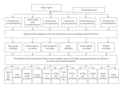 Schematic Diagram Of The Sampling Procedure Download Scientific Diagram