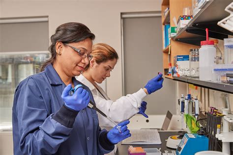 Sustainability Nature Mcmaster