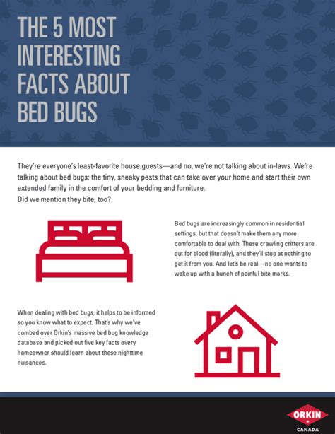 The Top 5 Facts About Bed Bugs Orkin Canada